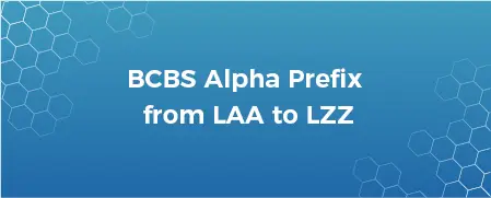 BCBS Alpha Prefix from LAA to LZZ | 2024 Latest Insights