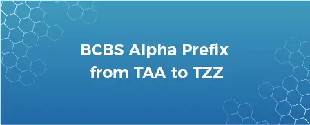 BCBS Alpha Prefix from TAA to TZZ | 2024 Latest Insights