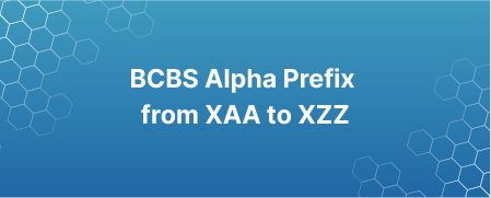 BCBS Alpha Prefix from XAA to XZZ | 2024 Latest Insights